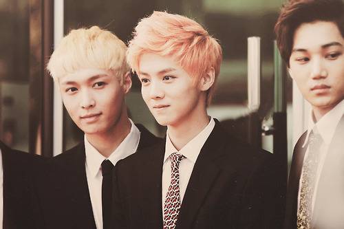 EXO 텀블러짤 털이 :: 155 - 인스티즈(instiz) 엑소 카테고리