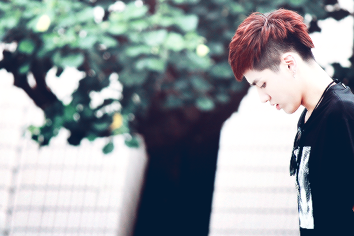 EXO 텀블러짤 털이 :: 195 - 인스티즈(instiz) 엑소 카테고리