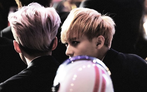 EXO 텀블러짤 털이 : 248 - 인스티즈(instiz) 엑소 카테고리