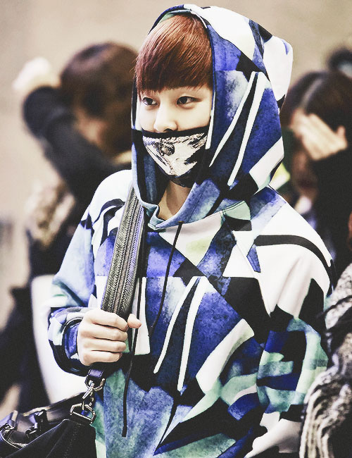 EXO 텀블러짤 털이 : 239 - 인스티즈(instiz) 엑소 카테고리