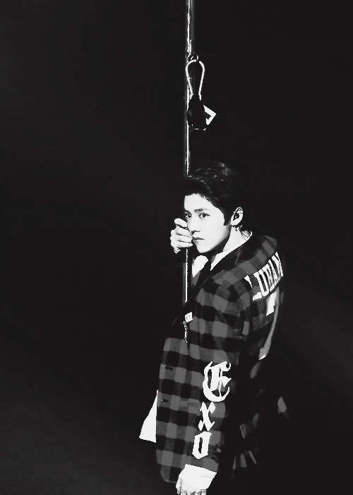 EXO 텀블러짤 털이 : 239 - 인스티즈(instiz) 엑소 카테고리