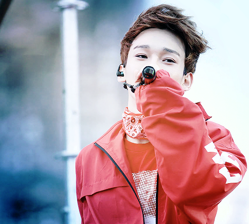 EXO 텀블러짤 털이 :: 201 - 인스티즈(instiz) 엑소 카테고리