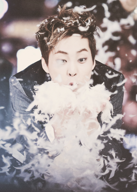 EXO 텀블러짤 털이 : 238 - 인스티즈(instiz) 엑소 카테고리