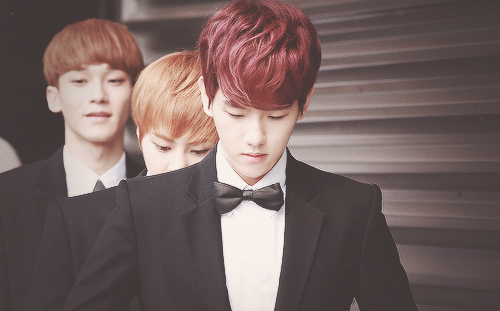 EXO 텀블러짤 털이 :: 155 - 인스티즈(instiz) 엑소 카테고리