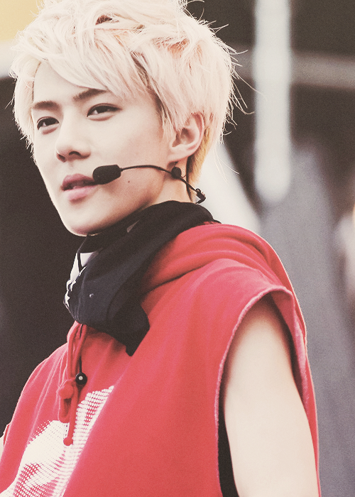 EXO 텀블러짤 털이 :: 189 - 인스티즈(instiz) 엑소 카테고리