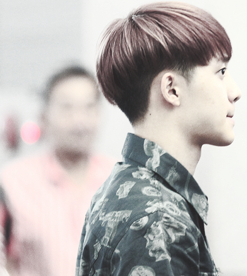 EXO 텀블러짤 털이 :: 60 - 인스티즈(instiz) 엑소 카테고리