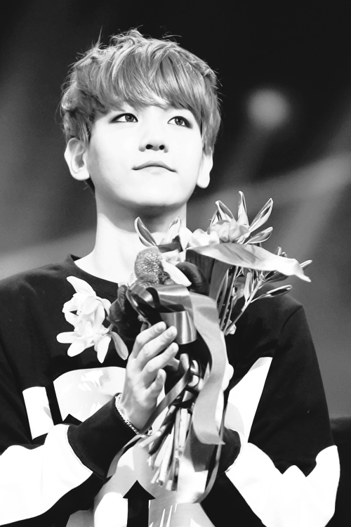 EXO 텀블러짤 털이 : 238 - 인스티즈(instiz) 엑소 카테고리