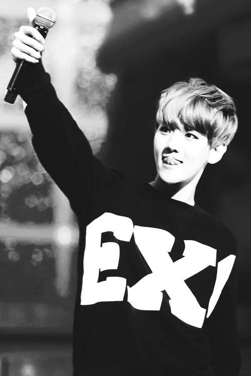 EXO 텀블러짤 털이 : 238 - 인스티즈(instiz) 엑소 카테고리