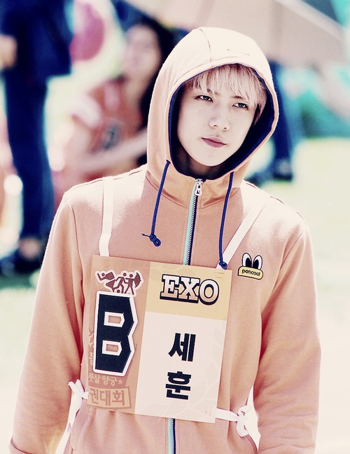 EXO 텀블러짤 털이 :: 20 - 인스티즈(instiz) 엑소 카테고리