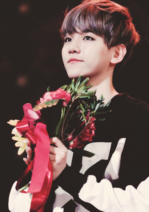 EXO 텀블러짤 털이 : 238 - 인스티즈(instiz) 엑소 카테고리