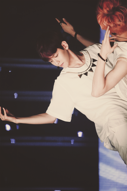 EXO 텀블러짤 털이 :: 222 - 인스티즈(instiz) 엑소 카테고리