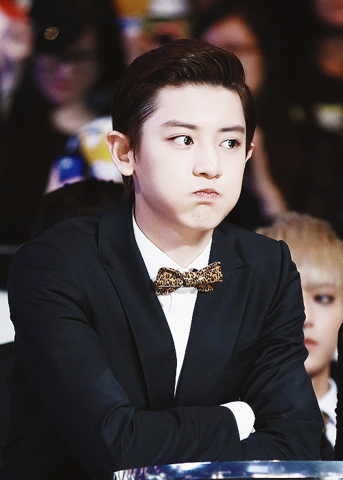 EXO 텀블러짤 털이 : 250 - 인스티즈(instiz) 엑소 카테고리