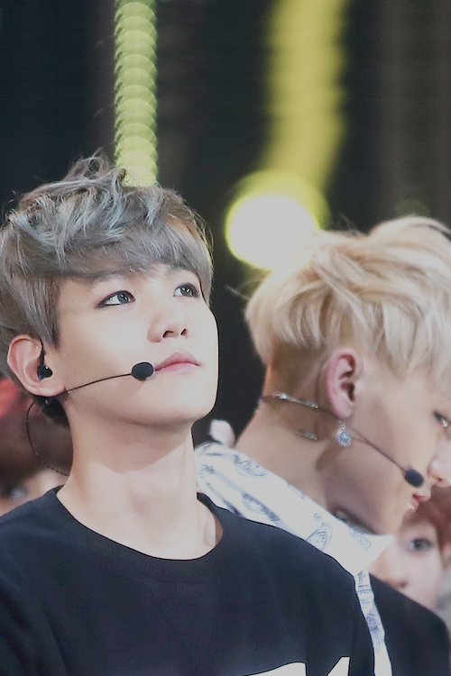 EXO 텀블러짤 털이 : 238 - 인스티즈(instiz) 엑소 카테고리