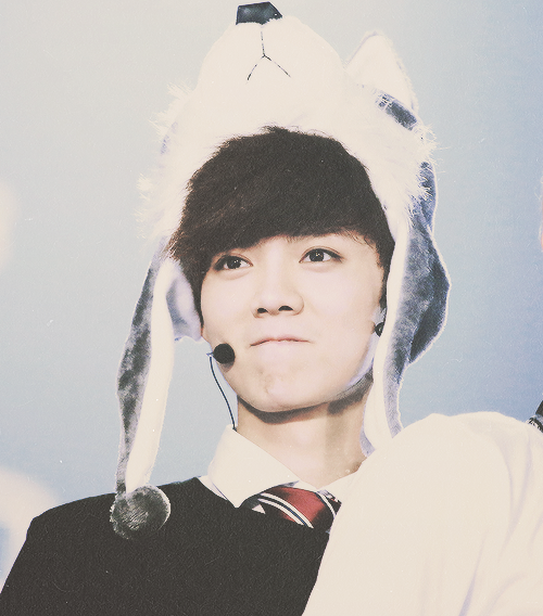 EXO 텀블러짤 털이 : 233 - 인스티즈(instiz) 엑소 카테고리