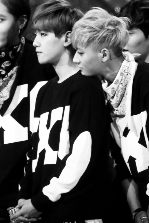 EXO 텀블러짤 털이 : 238 - 인스티즈(instiz) 엑소 카테고리