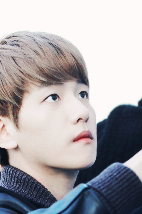 EXO 텀블러짤 털이 :: 223 - 인스티즈(instiz) 엑소 카테고리