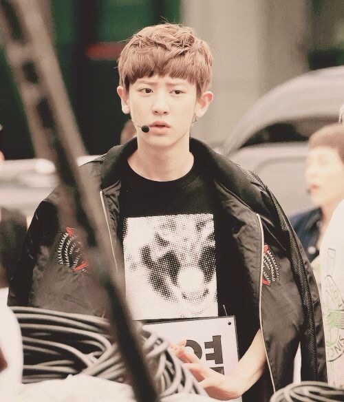 EXO 텀블러짤 털이 :: 20 - 인스티즈(instiz) 엑소 카테고리