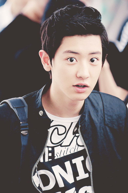 EXO 텀블러짤 털이 :: 177 - 인스티즈(instiz) 엑소 카테고리