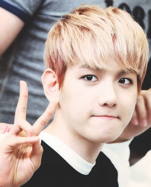 EXO 텀블러짤 털이 :: 217 - 인스티즈(instiz) 엑소 카테고리