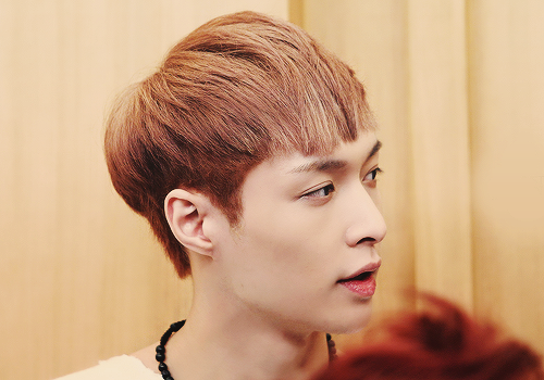 EXO 텀블러짤 털이 :: 217 - 인스티즈(instiz) 엑소 카테고리