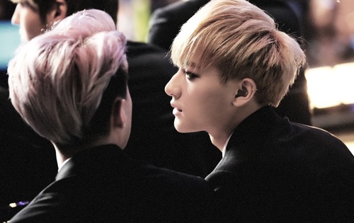 EXO 텀블러짤 털이 : 248 - 인스티즈(instiz) 엑소 카테고리