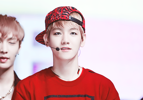 EXO 텀블러짤 털이 :: 45 - 인스티즈(instiz) 엑소 카테고리