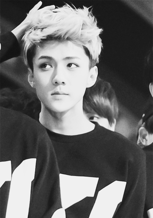 EXO 텀블러짤 털이 : 239 - 인스티즈(instiz) 엑소 카테고리