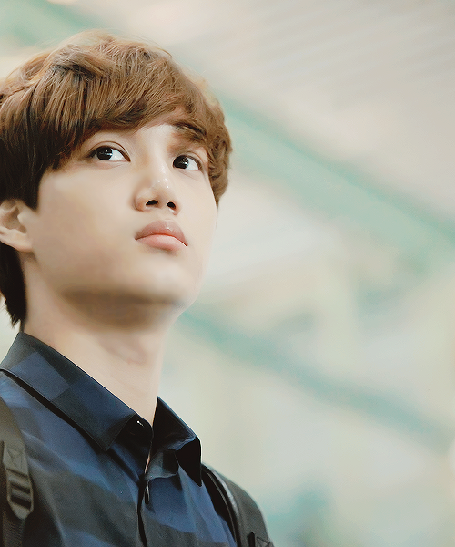 EXO 텀블러짤 털이 :: 177 - 인스티즈(instiz) 엑소 카테고리