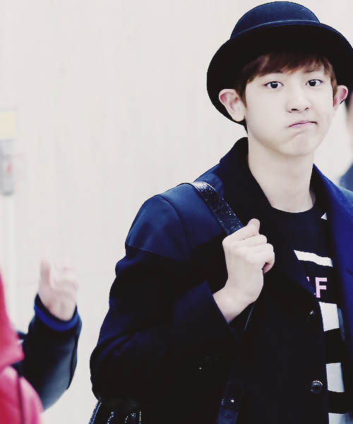 EXO 텀블러짤 털이 :: 223 - 인스티즈(instiz) 엑소 카테고리