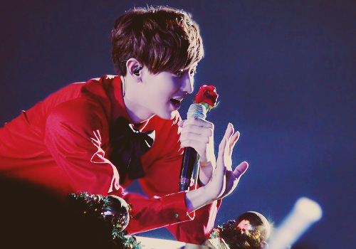 EXO 텀블러짤 털이 : 233 - 인스티즈(instiz) 엑소 카테고리