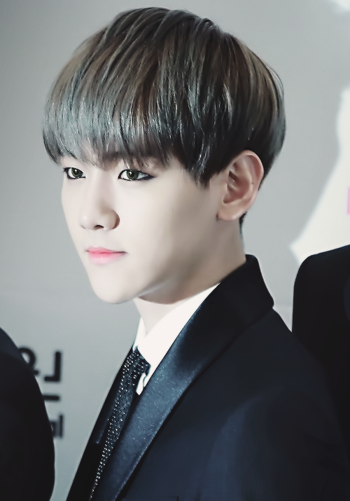 EXO 텀블러짤 털이 : 238 - 인스티즈(instiz) 엑소 카테고리