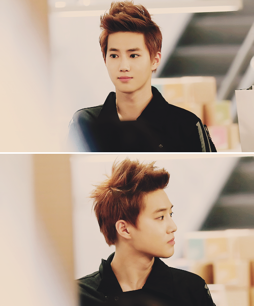 EXO 텀블러짤 털이 :: 177 - 인스티즈(instiz) 엑소 카테고리