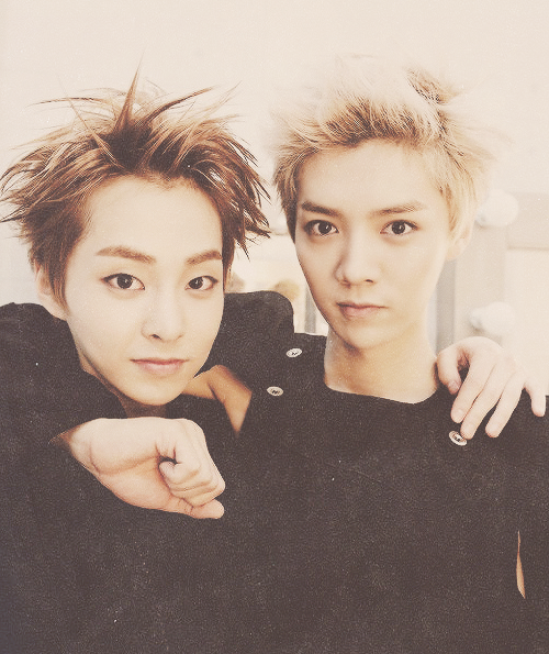 EXO 텀블러짤 털이 :: 119 - 인스티즈(instiz) 엑소 카테고리