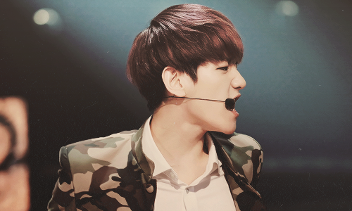 EXO 텀블러짤 털이 :: 195 - 인스티즈(instiz) 엑소 카테고리