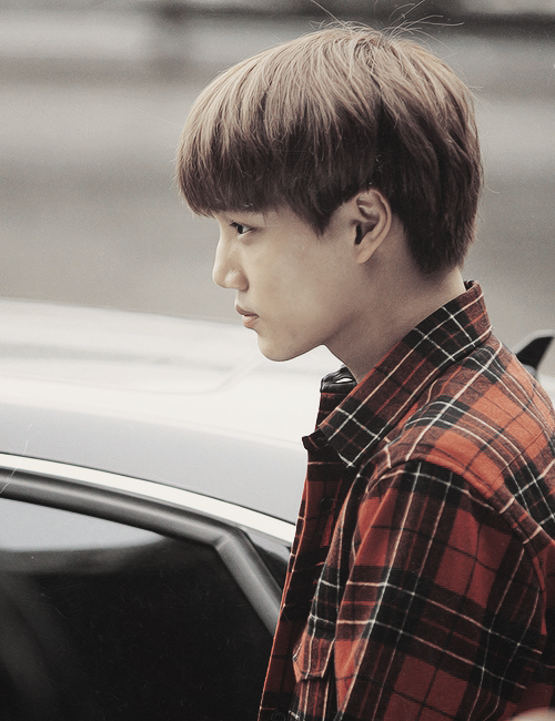 EXO 텀블러짤 털이 :: 223 - 인스티즈(instiz) 엑소 카테고리