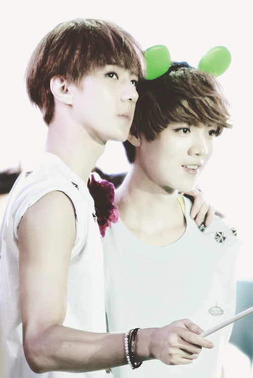 EXO 텀블러짤 털이 : 239 - 인스티즈(instiz) 엑소 카테고리