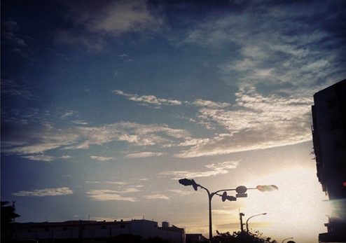 [EXO/클첸레] 어떤 꽃이 피었습니까? -09- (完) - 인스티즈(instiz) 픽션 카테고리