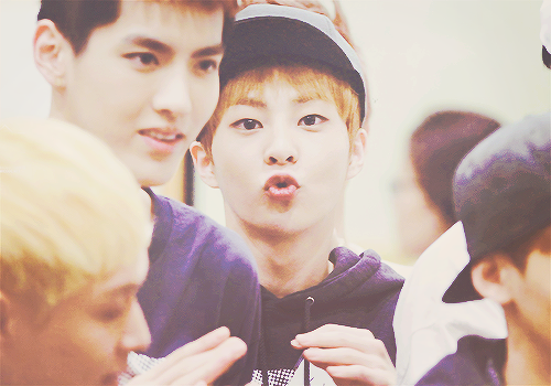 EXO 텀블러짤 털이 :: 137 - 인스티즈(instiz) 엑소 카테고리