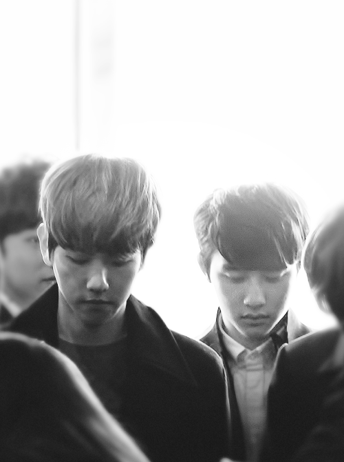 EXO 텀블러짤 털이 : 239 - 인스티즈(instiz) 엑소 카테고리