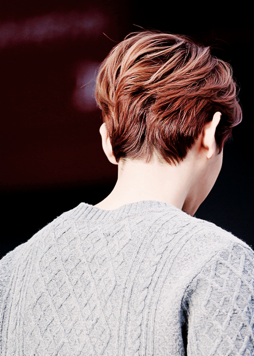 EXO 텀블러짤 털이 : 234 - 인스티즈(instiz) 엑소 카테고리