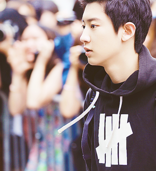 EXO 텀블러짤 털이 :: 195 - 인스티즈(instiz) 엑소 카테고리