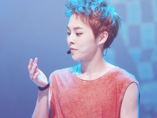 EXO 텀블러짤 털이 :: 52 - 인스티즈(instiz) 엑소 카테고리