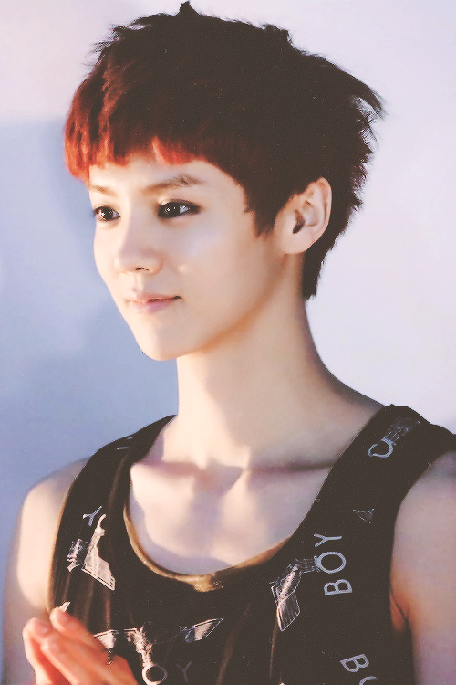 EXO 텀블러짤 털이 :: 123 - 인스티즈(instiz) 엑소 카테고리