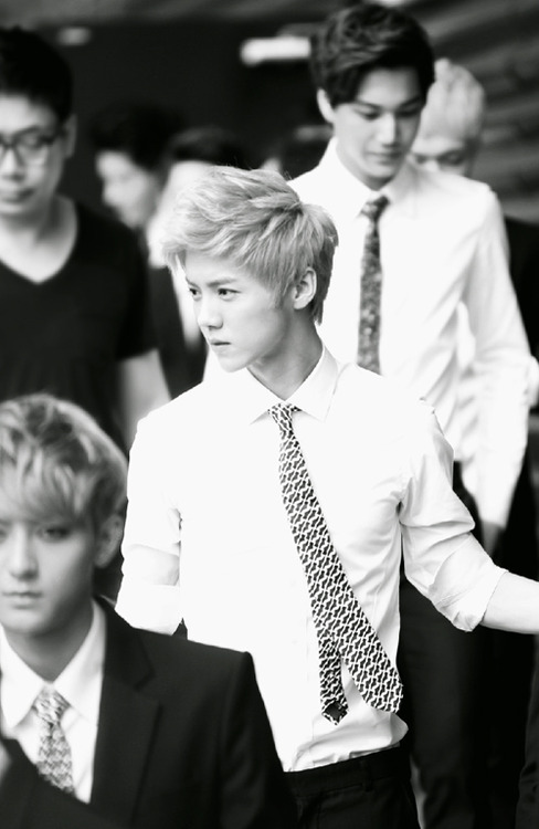 EXO 텀블러짤 털이 :: 155 - 인스티즈(instiz) 엑소 카테고리