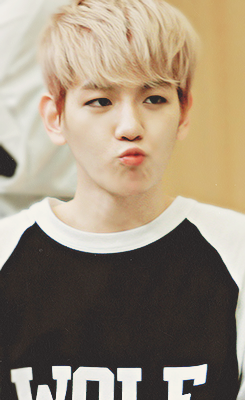 EXO 텀블러짤 털이 :: 217 - 인스티즈(instiz) 엑소 카테고리