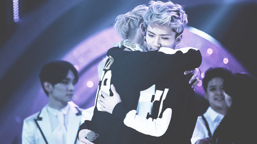 EXO 텀블러짤 털이 : 239 - 인스티즈(instiz) 엑소 카테고리