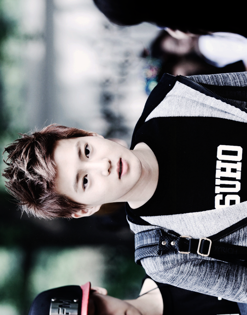 EXO 텀블러짤 털이 :: 129 - 인스티즈(instiz) 엑소 카테고리