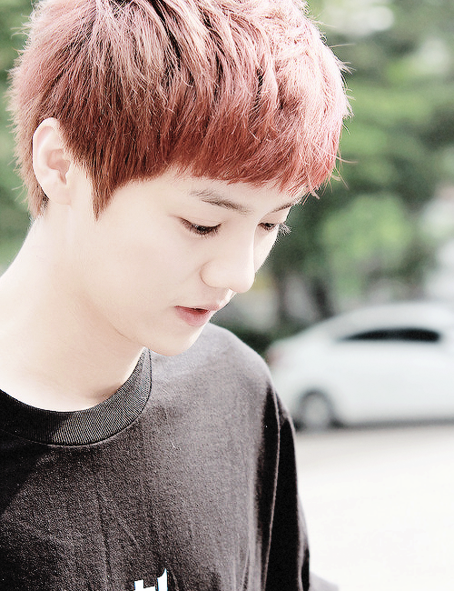 EXO 텀블러짤 털이 :: 123 - 인스티즈(instiz) 엑소 카테고리