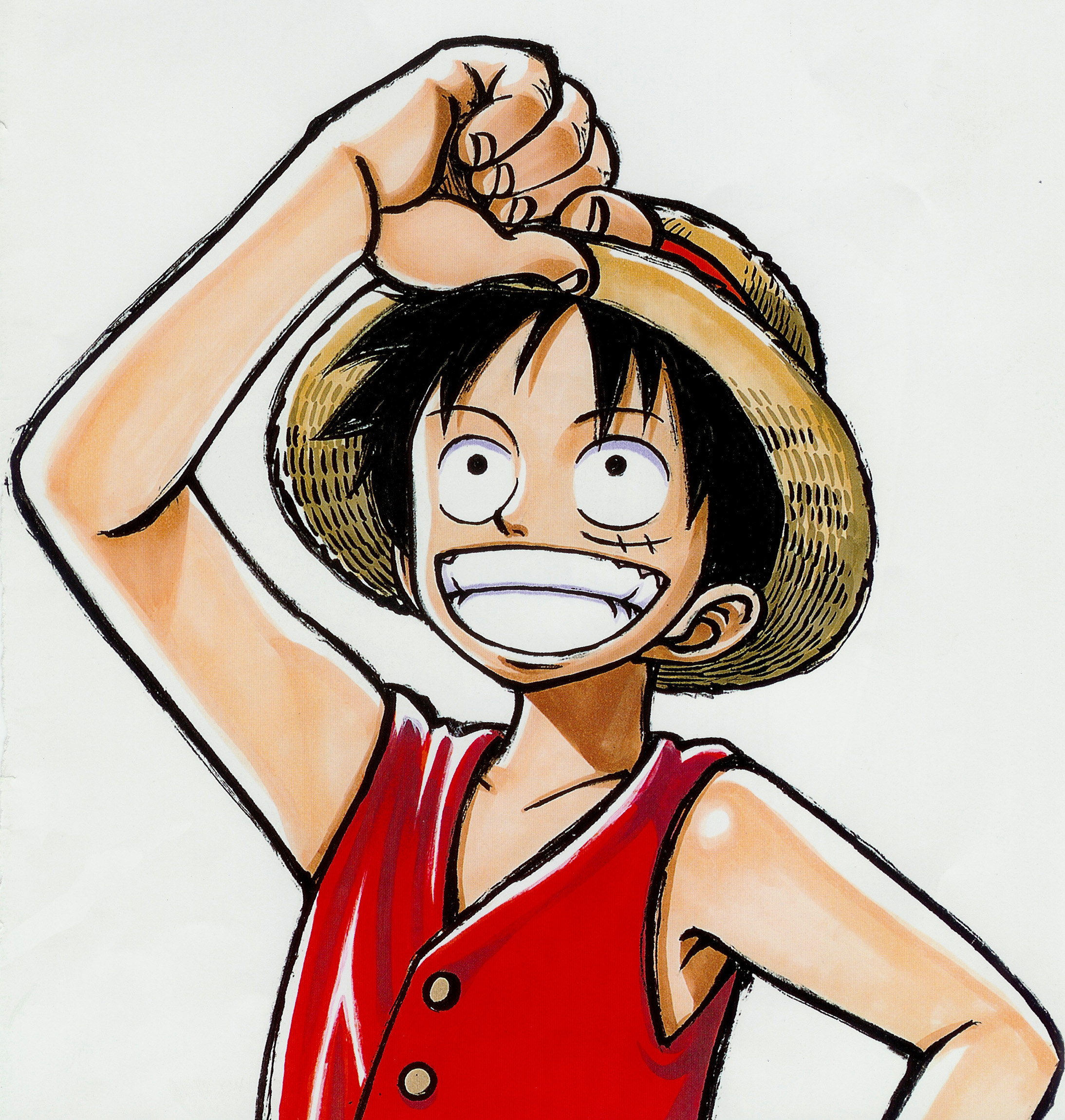 one piece 바탕화면 - 인스티즈(instiz) 인티포털 카테고리