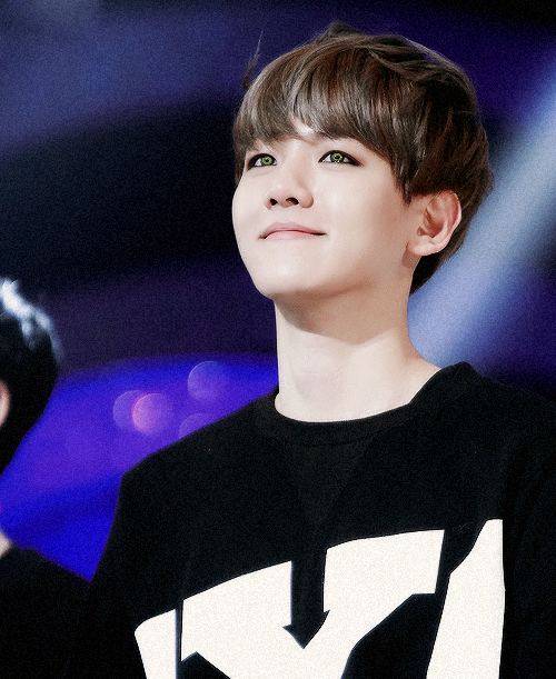 EXO 텀블러짤 털이 : 238 - 인스티즈(instiz) 엑소 카테고리